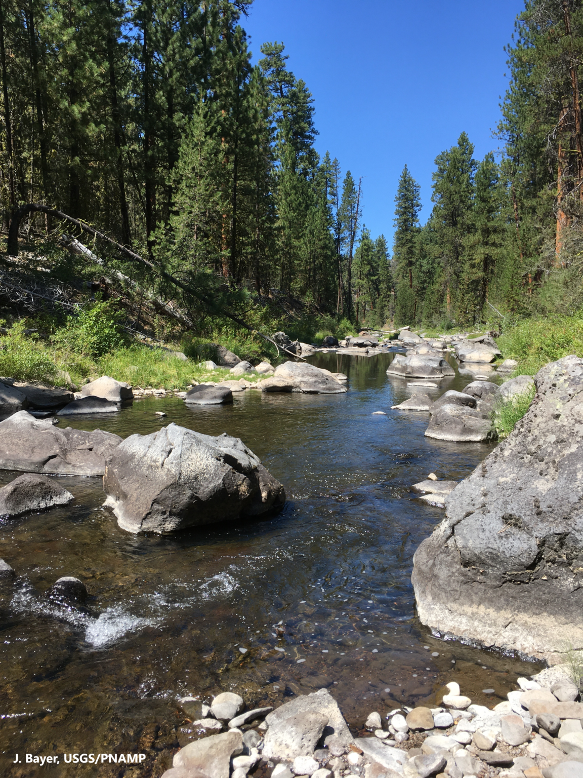 Stream Habitat Metric Data Integration - Pacific Northwest Aquatic ...
